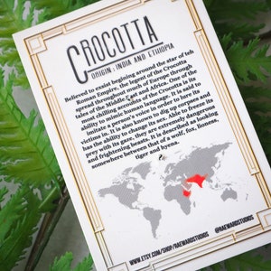 Crocotta: Canis Mythologica - Etsy