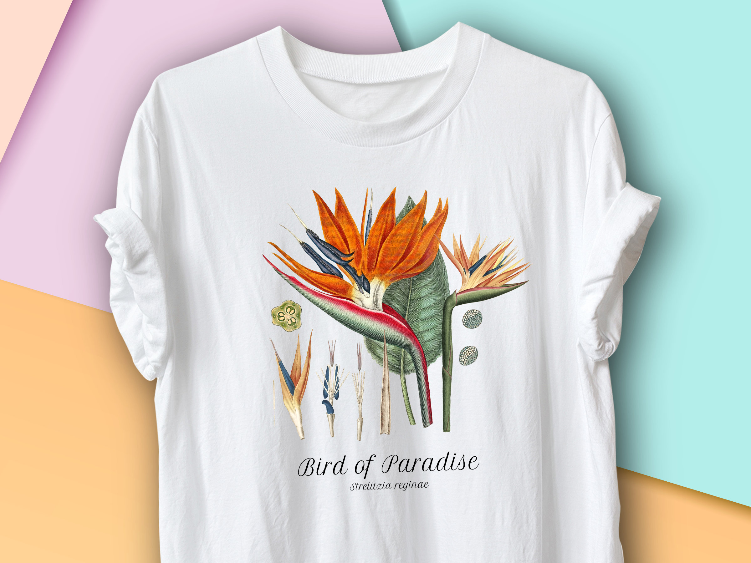 Bird of Paradise Vintage Botanical T-shirt, Tropical Plant Bird of Paradise Vintage Botanical T-shirt, Tropical Plant