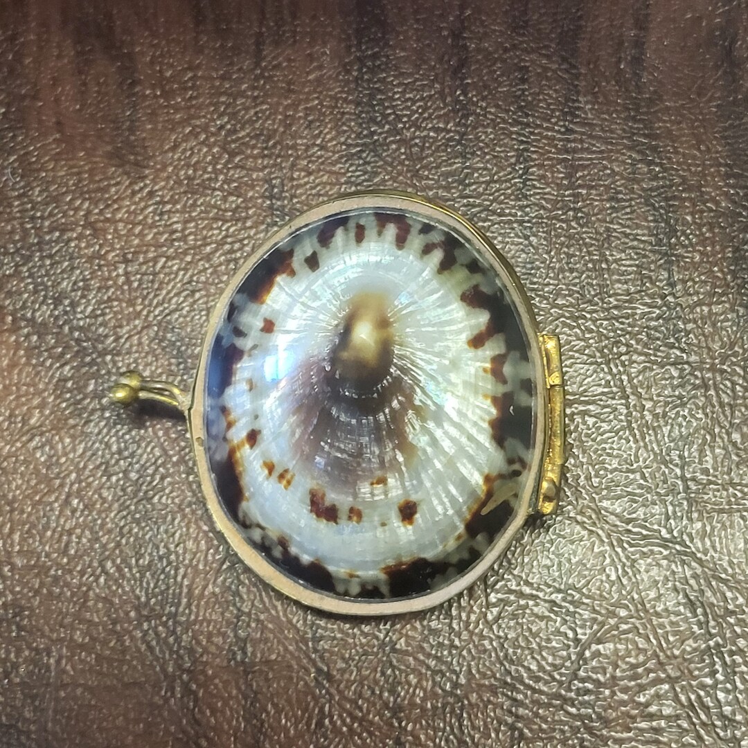Vintage Seashell Coin Purse, Keepsake/rosary Box, Brown Limpet Shell ...