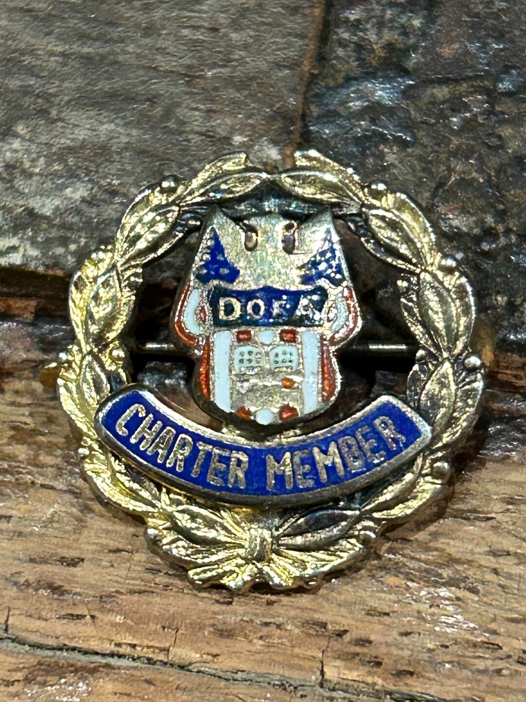 Vintage Sterling and Enamel D.O.F.A. Charter Member Pin/badge - Etsy