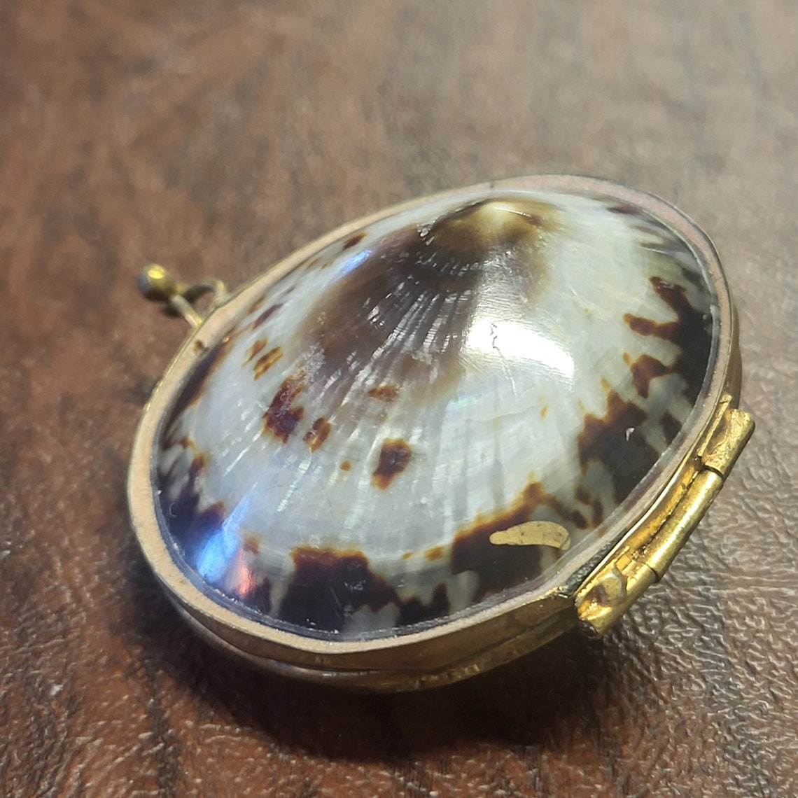 Vintage Seashell Coin Purse, Keepsake/rosary Box, Brown Limpet Shell ...