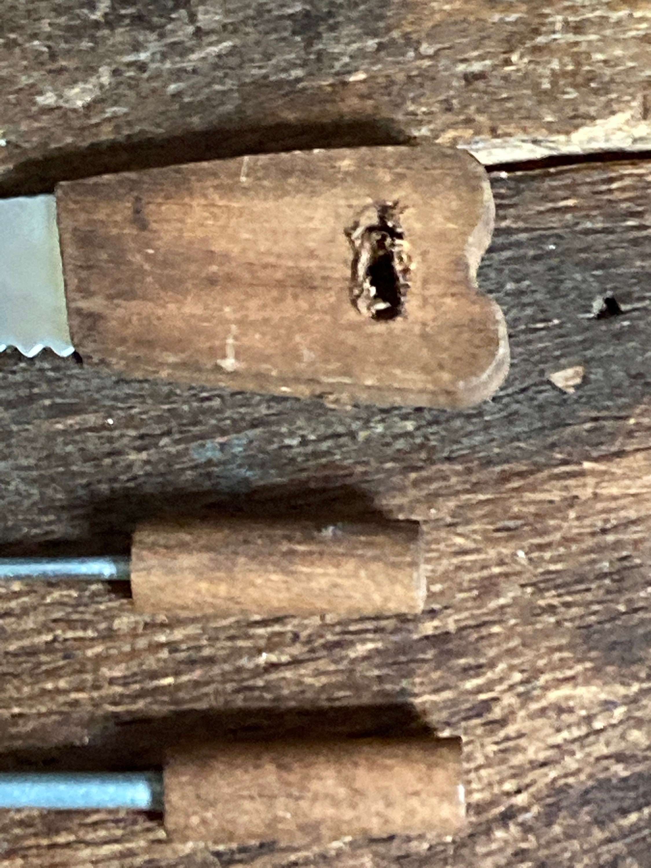 Lot of 6 Miniature Toy Tools for Dollhouse or Fairy Garden - Etsy