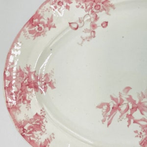 Impressive Antique English 19th Century STAFFORDSHIRE Meat Plate ...