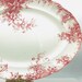 Impressive Antique English 19th Century STAFFORDSHIRE Meat Plate ...