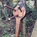 Napoleonic Era French Blacksmith’s Bellows Signed & Dated 1807 ...
