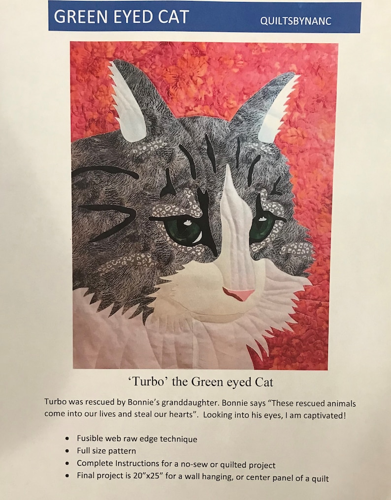 Green Eyed Cat Pattern to Make 20x25 Wall Hanging - Etsy