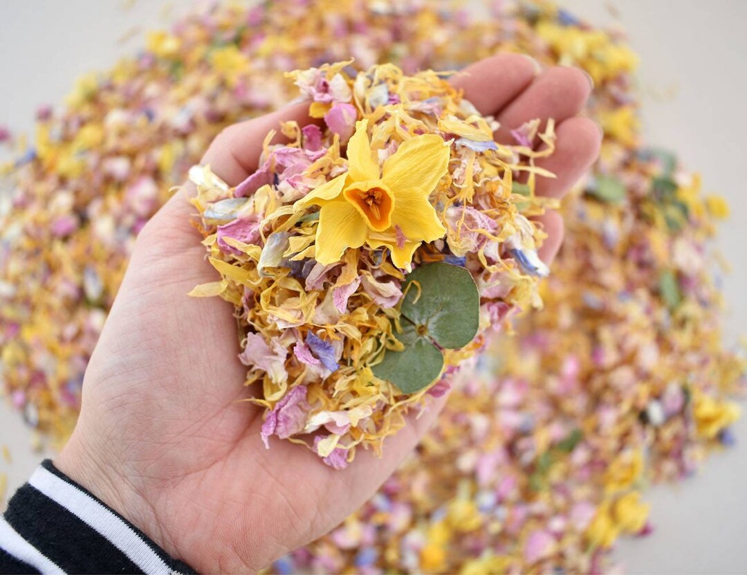 Biodegradable Confetti Wedding Confetti Real Flower Petals - Etsy