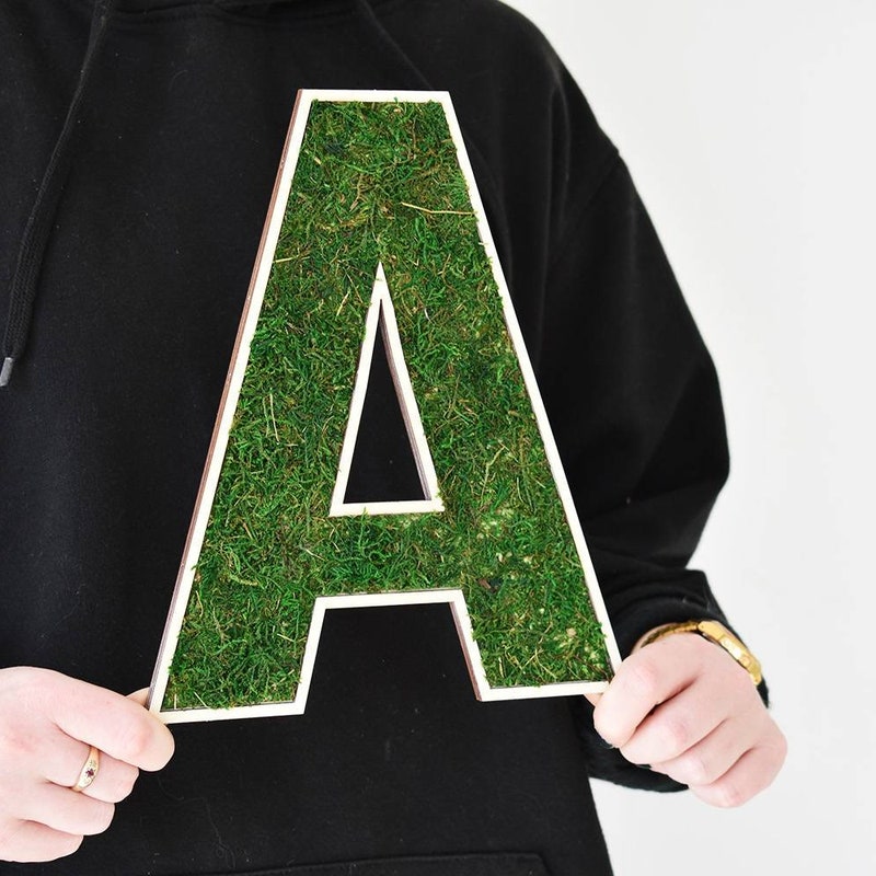 Moss Letter - Etsy