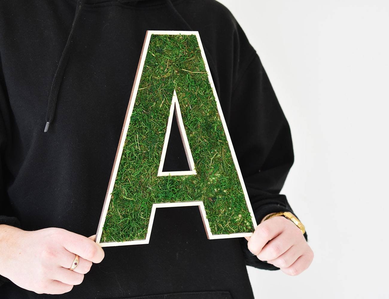 Moss Letters Dried Flowers Moss Words Wall Art Dried - Etsy UK