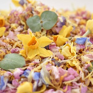 Biodegradable Confetti Wedding Confetti Real Flower Petals - Etsy
