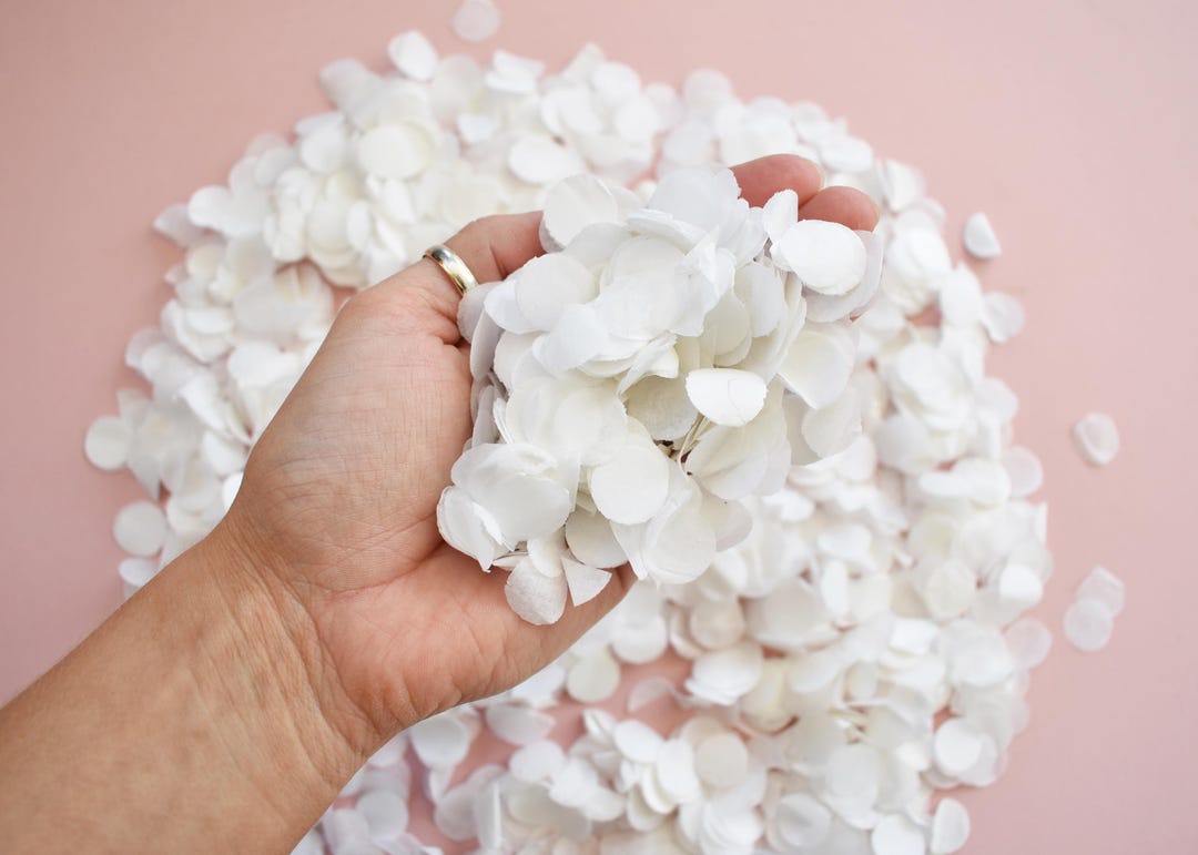 Biodegradable Confetti | White Circle Confetti | Pastel Rainbow ...