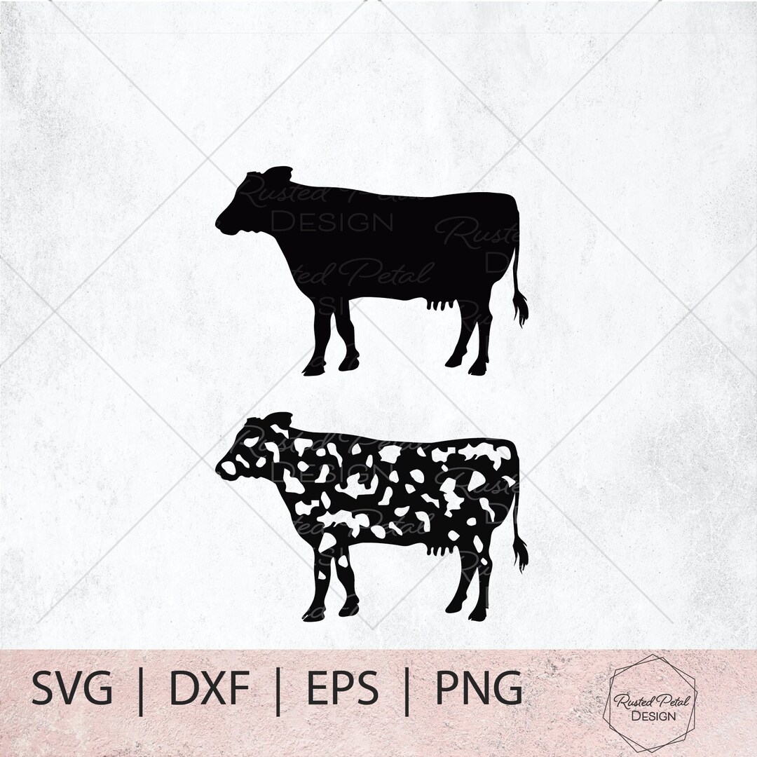 Cow Svg Dairy Cow SVG Distressed Cow SVG Show Heifer Svg - Etsy