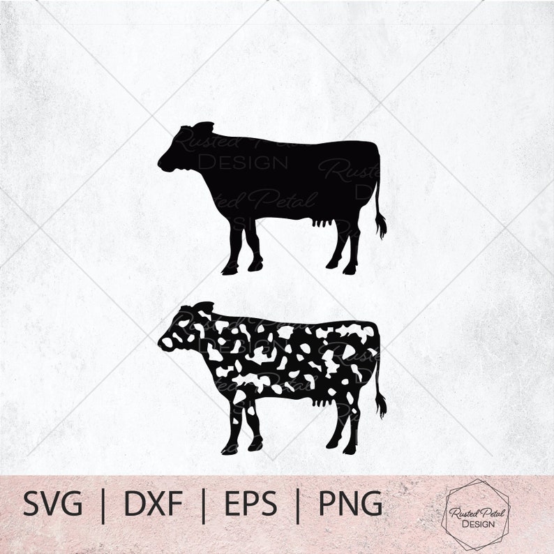 Cow Svg Dairy Cow SVG Distressed Cow SVG Show Heifer Svg - Etsy