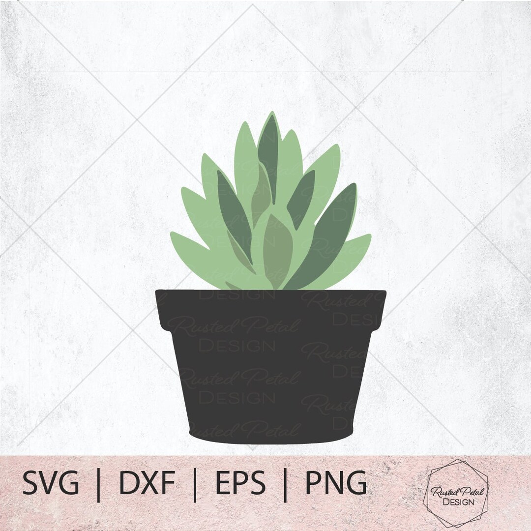 Succulent SVG, Plant SVG, Plant Lover Svg, Houseplant SVG, Succulent ...