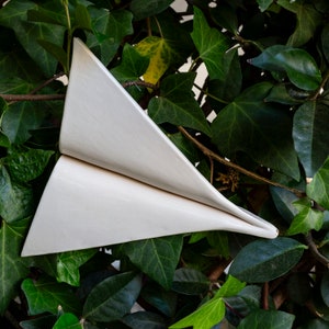 Decorative White Ceramic Wall Plane - Etsy