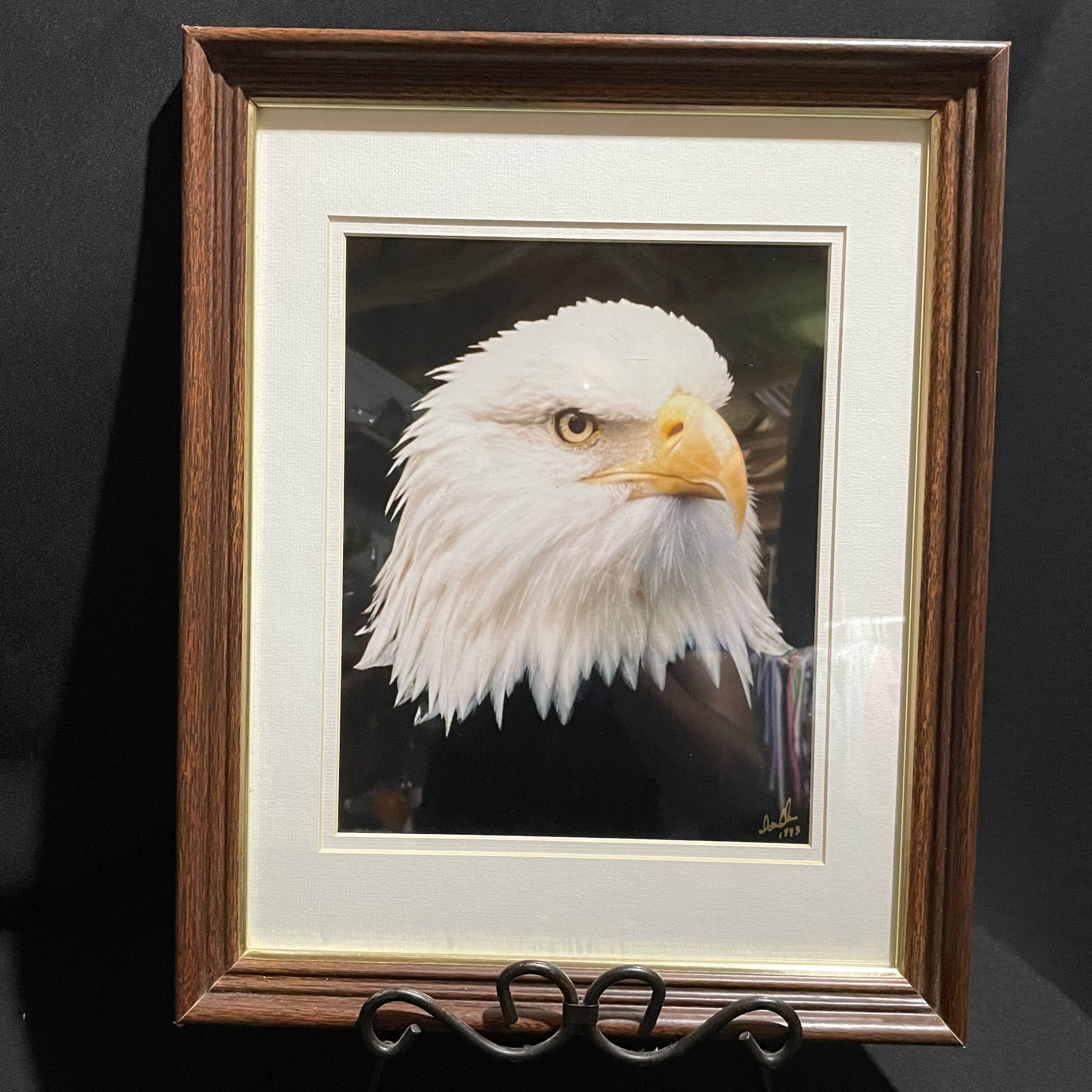 Vintage Don Adams Bald Eagle 1993 Signed Wildlife Photo Print 93019 - Etsy