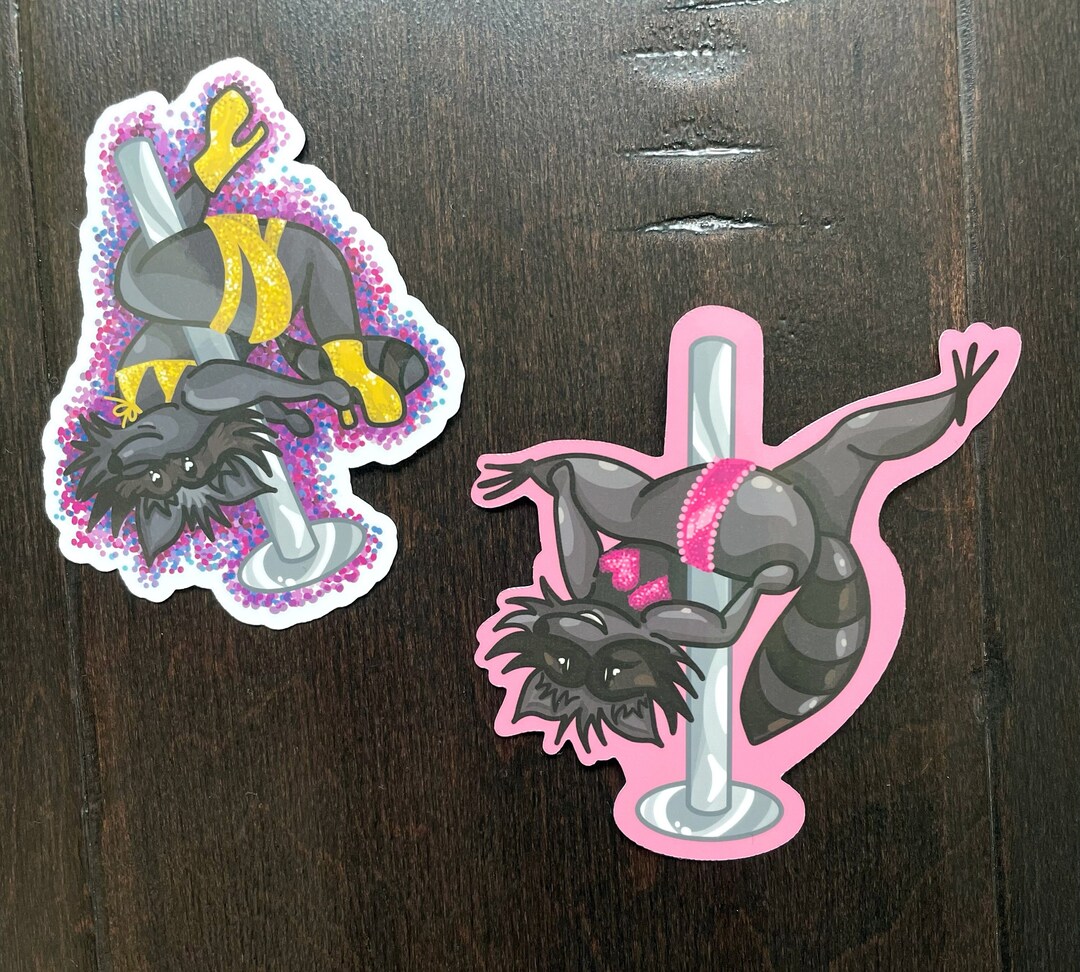 Pole Dancer Decal, Pole Dancing Raccoon Stickers - Etsy