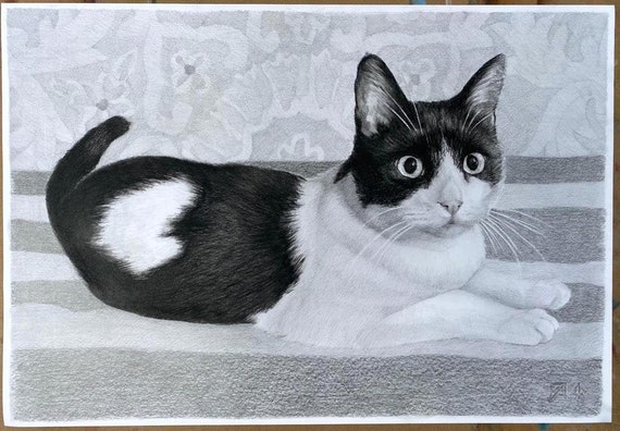 Highly Realistic Cat Portrait Drawing in Charcoal Pencil - Etsy