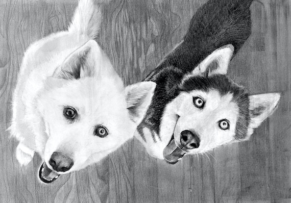 Custom Made Two Dogs Portrait Drawing in Charcoal Pencil - Etsy