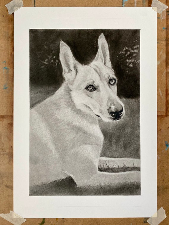 Dibujo De Perro Realista A Lápiz
