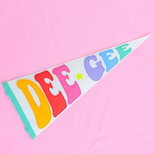 Delta Gamma Sorority Rainbow Pennant Flag / Sorority Gift / Dorm Room Decor / Big Little / Bid ...