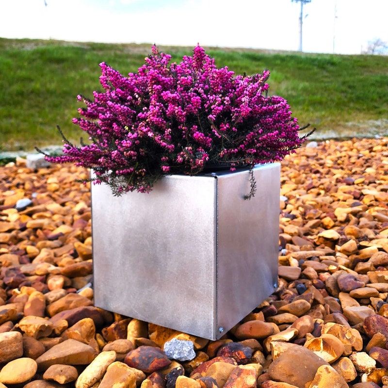 Cute Planter - Etsy
