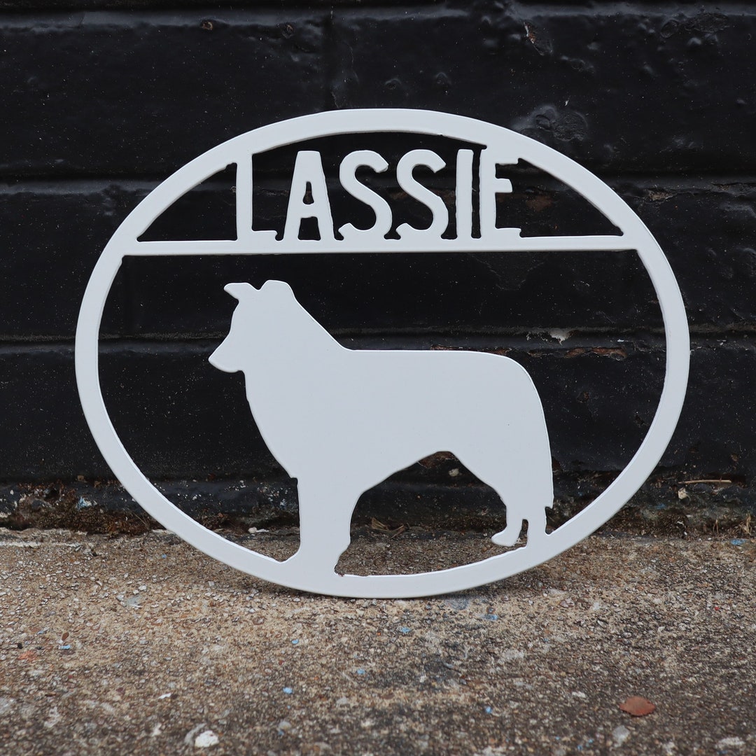 Border Collie Personalized Metal Dog Sign Metal Dog Sign - Etsy