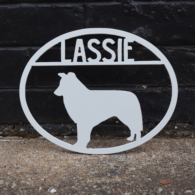 Border Collie Personalized Metal Dog Sign - Metal Dog Sign - Custom Pet ...