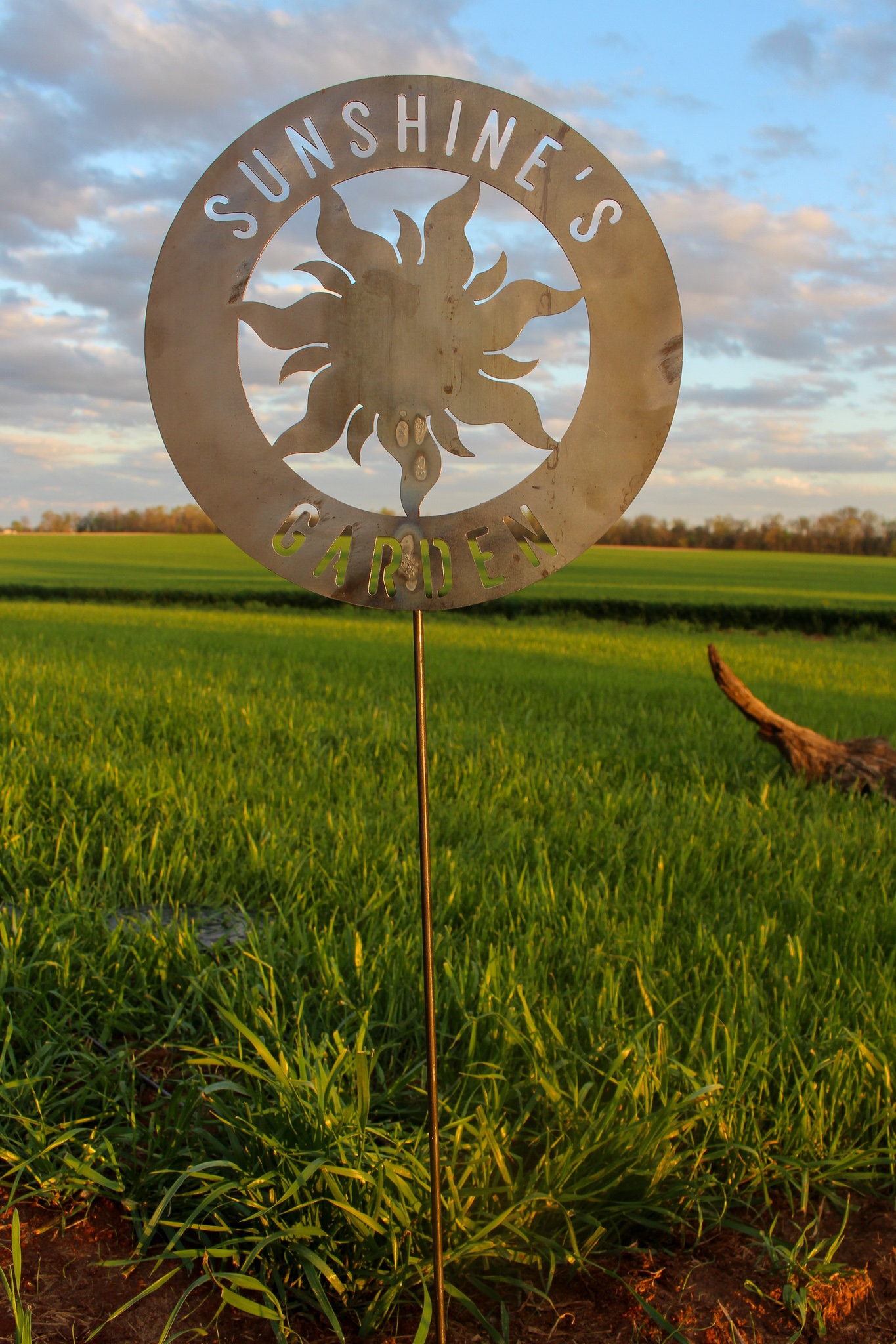 Personalized Sun Garden Art Personalized Yard Decor Custom | Etsy