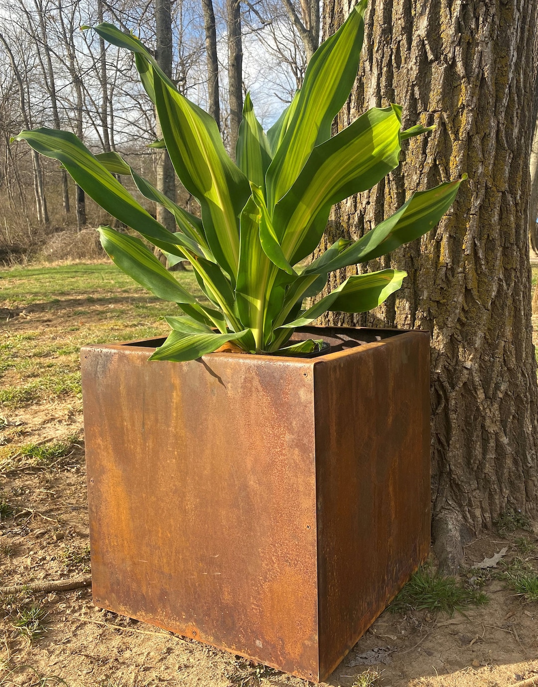 Square Metal Planter 10"x 10" or 16" X 16" or 22" X 22" Unique Planter ...