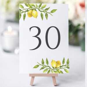 Lemon Table Numbers, Citrus Table Numbers Template, Printable Numbers ...