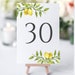 Lemon Table Numbers Citrus Table Numbers Template Printable - Etsy