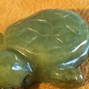 Sweet Pet Turtle! Hand-carved Stone Jadeite Jade in Green #599 40.85ct ...
