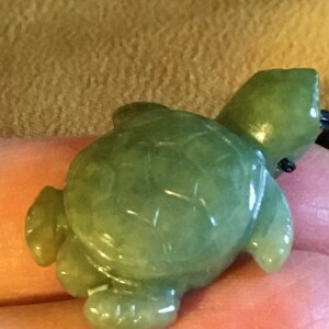 Sweet Pet Turtle! Hand-carved Stone Jadeite Jade in Green #599 40.85ct ...