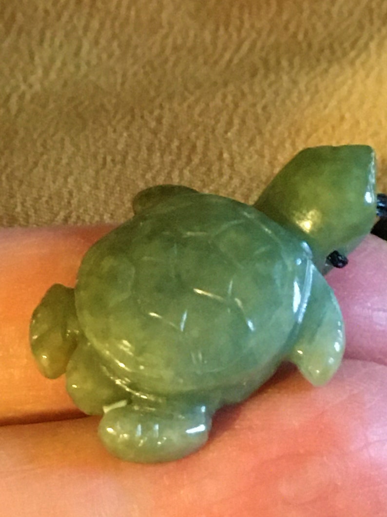 Sweet Pet Turtle Hand-carved Stone Jadeite Jade in Green 599 - Etsy