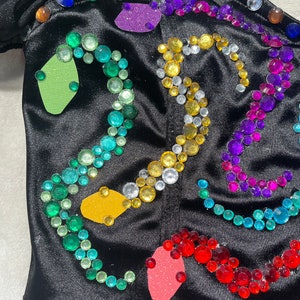 Taylor Swift Eras Tour Reputation Snakes as Albums Crop Top Bralette ...