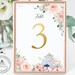 Table Number Card Blush Pink Floral High Tea Party Printable Sign ...