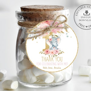 EDITABLE TEMPLATE Elephant 1st First Birthday 2" Circle Tags, Chic ...