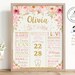 1st Birthday Milestones Sign, EDITABLE TEMPLATE, First Year One Birth ...