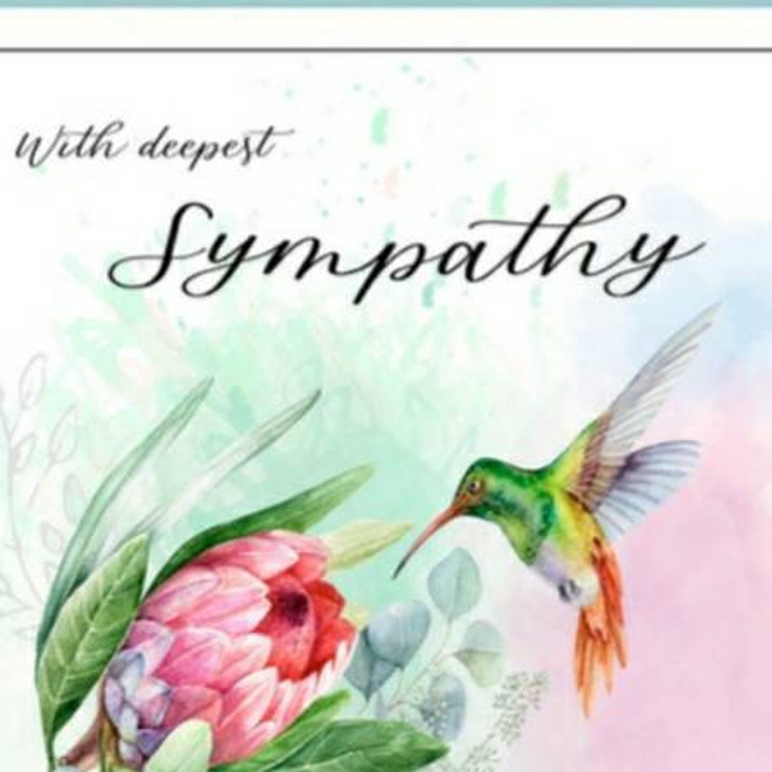 Hummingbird Sympathy Card Thinking of You Card - Etsy UK