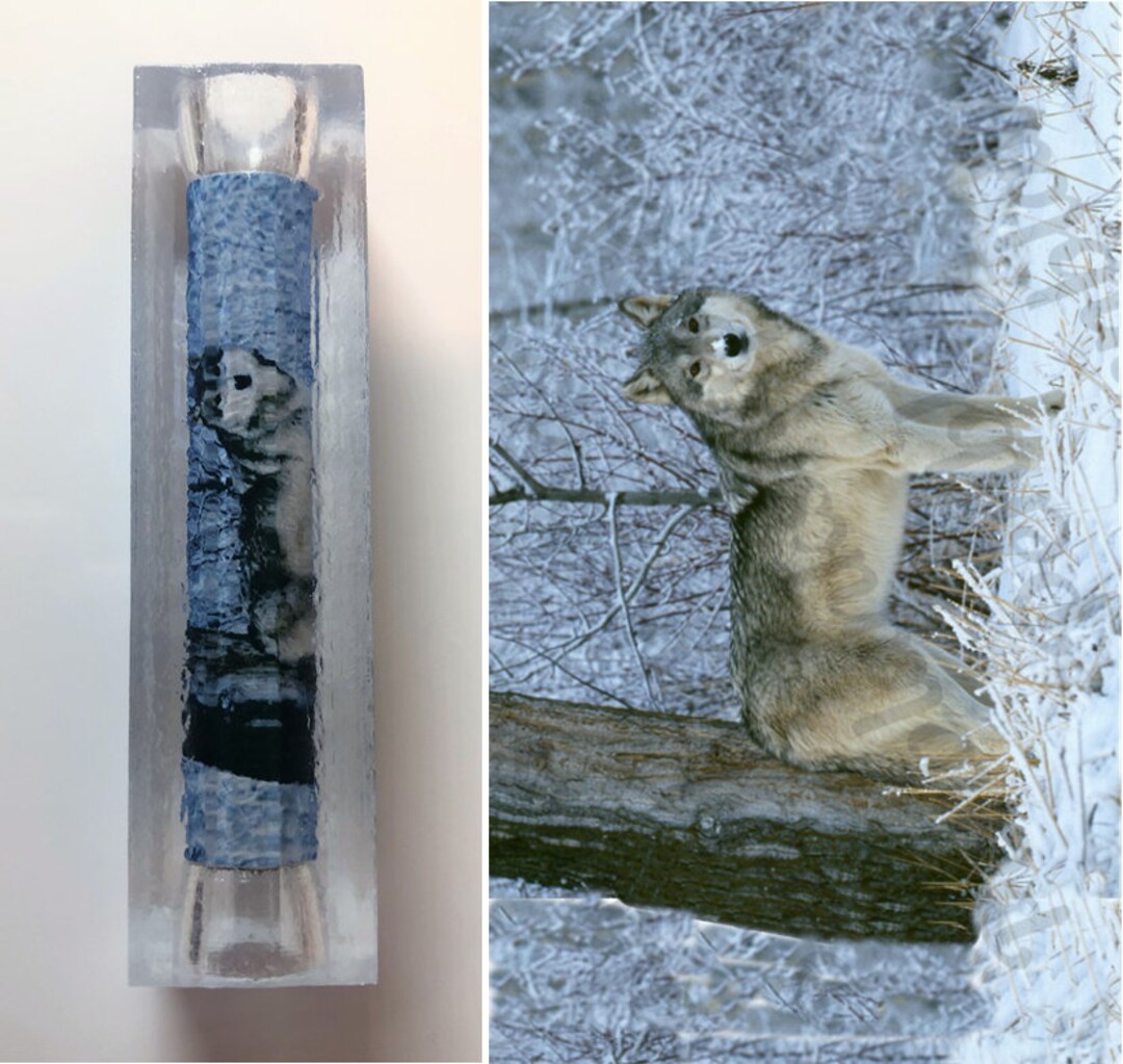 Wolf Pen Blank #181 - Etsy