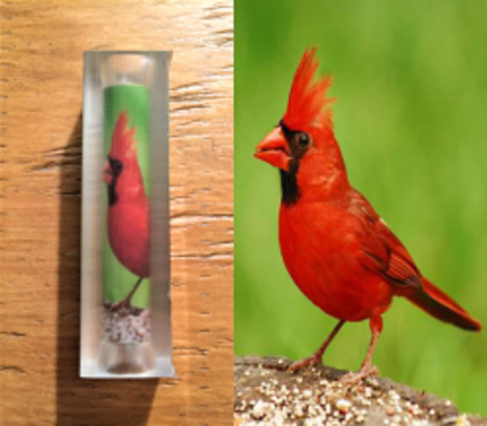 Cardinal, Red Bird Pen Blank #036 - Etsy