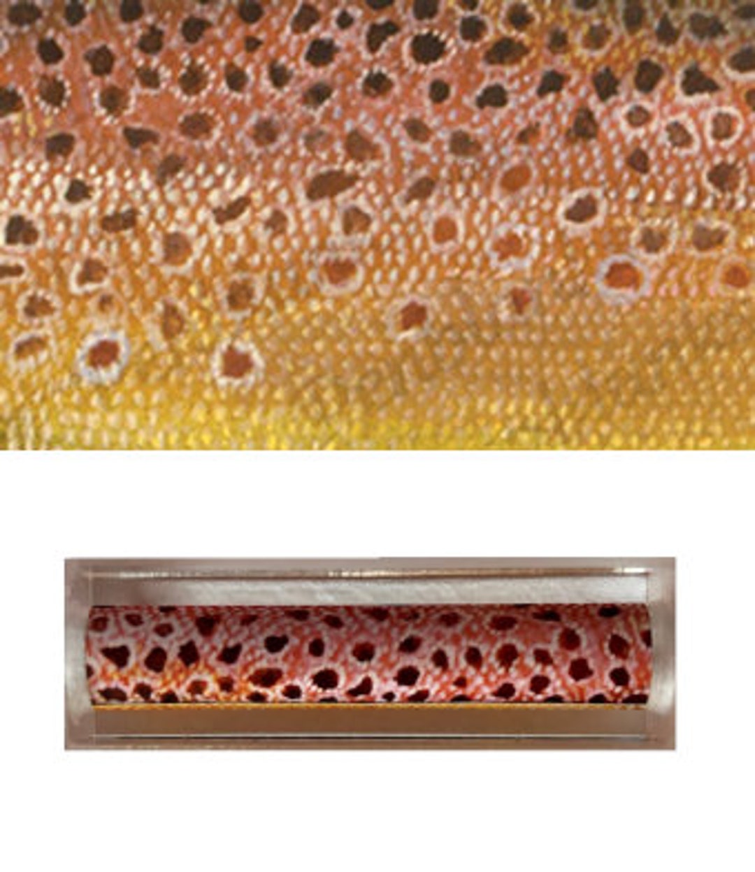 Brown Trout Pattern Pen Blank #202 - Etsy