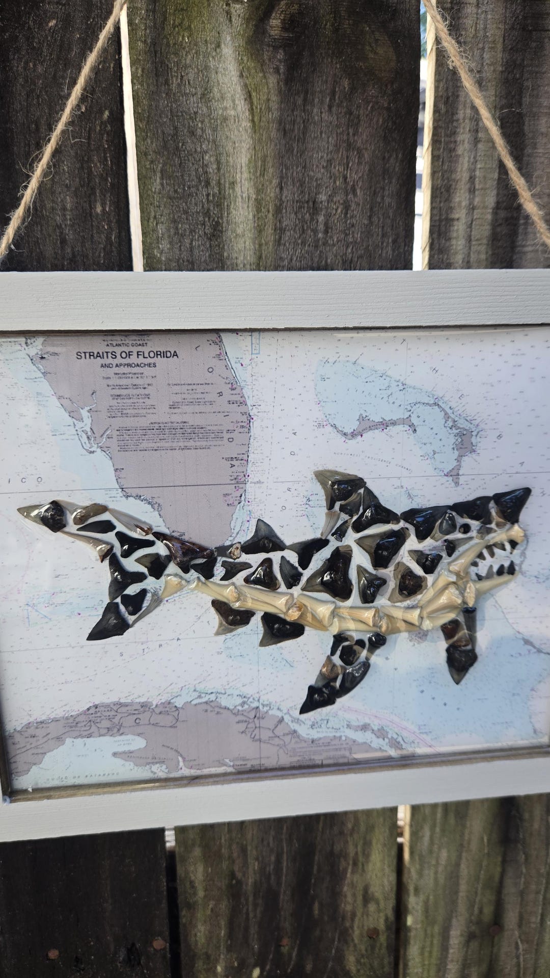 Shark Tooth Great White Shark/florida Nautical Map - Etsy