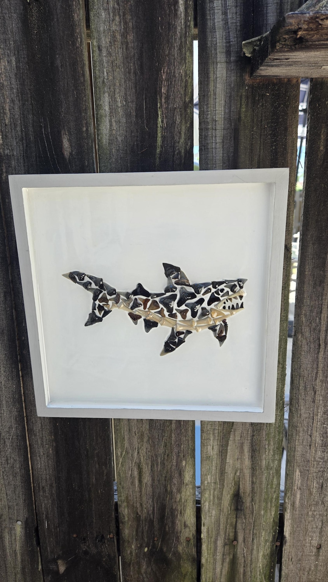 Great White Shark Made Out of Sharks Teeth - Etsy