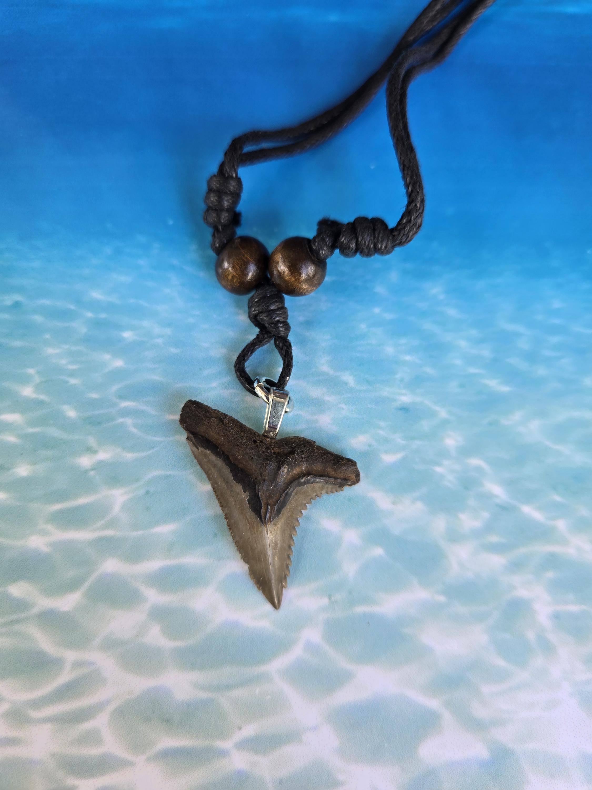 Extinct Snaggletooth Shark Tooth Necklace - Etsy