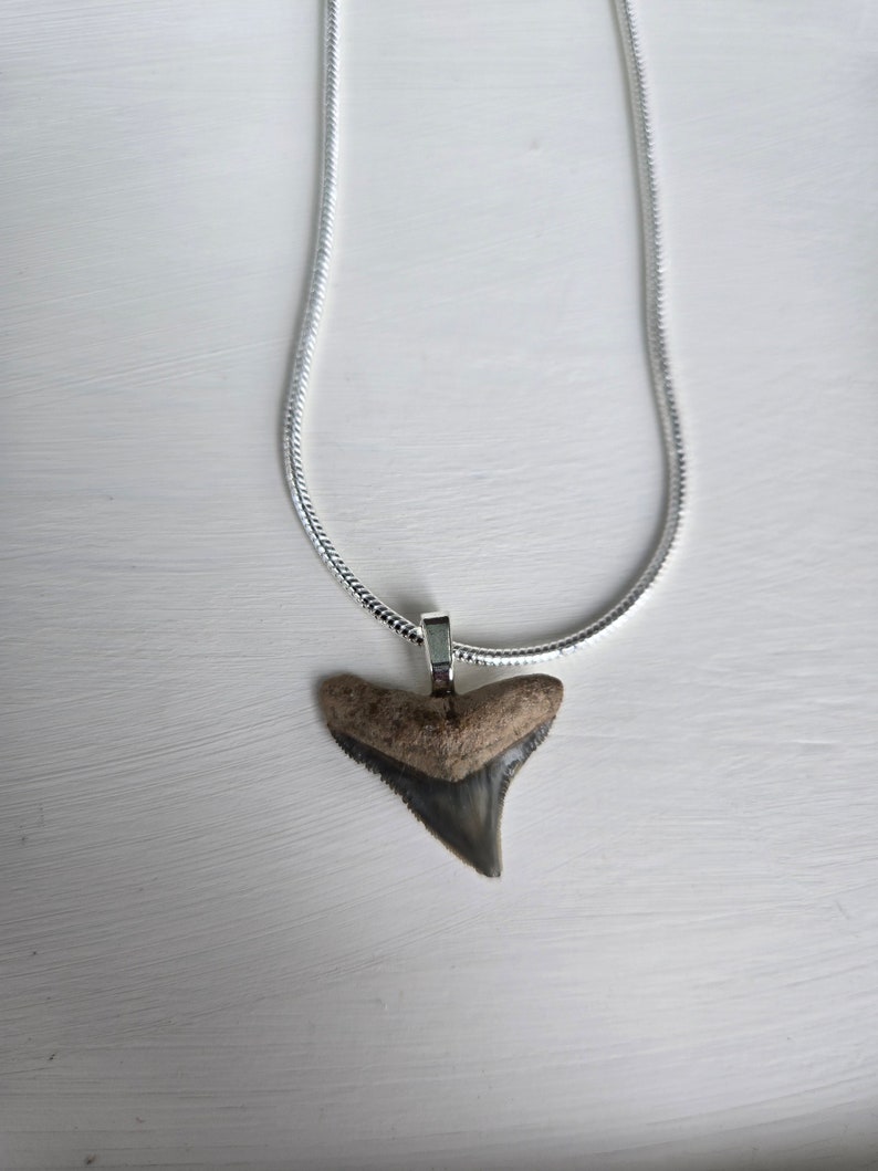 Bull Shark Teeth/real Silver Necklaces - Etsy