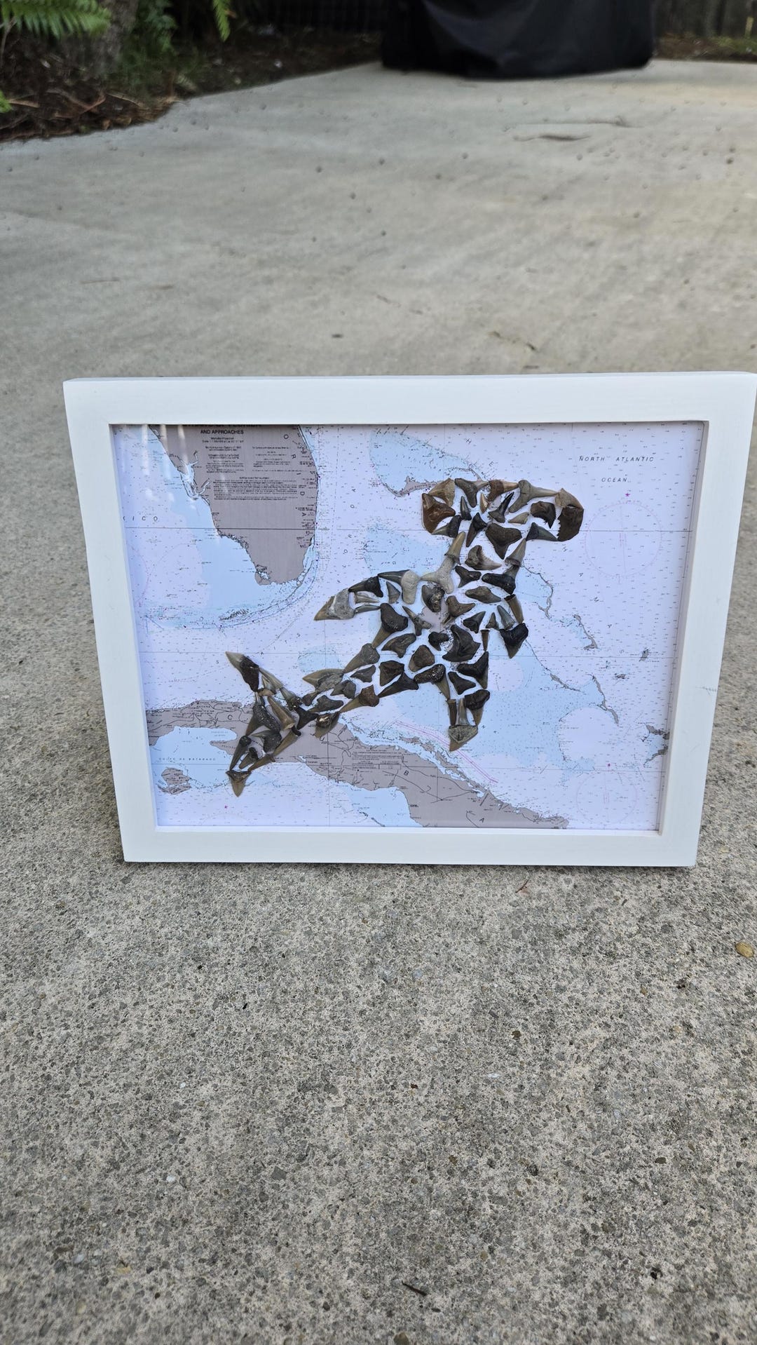 Shark Tooth Hammerhead/nautical Map - Etsy