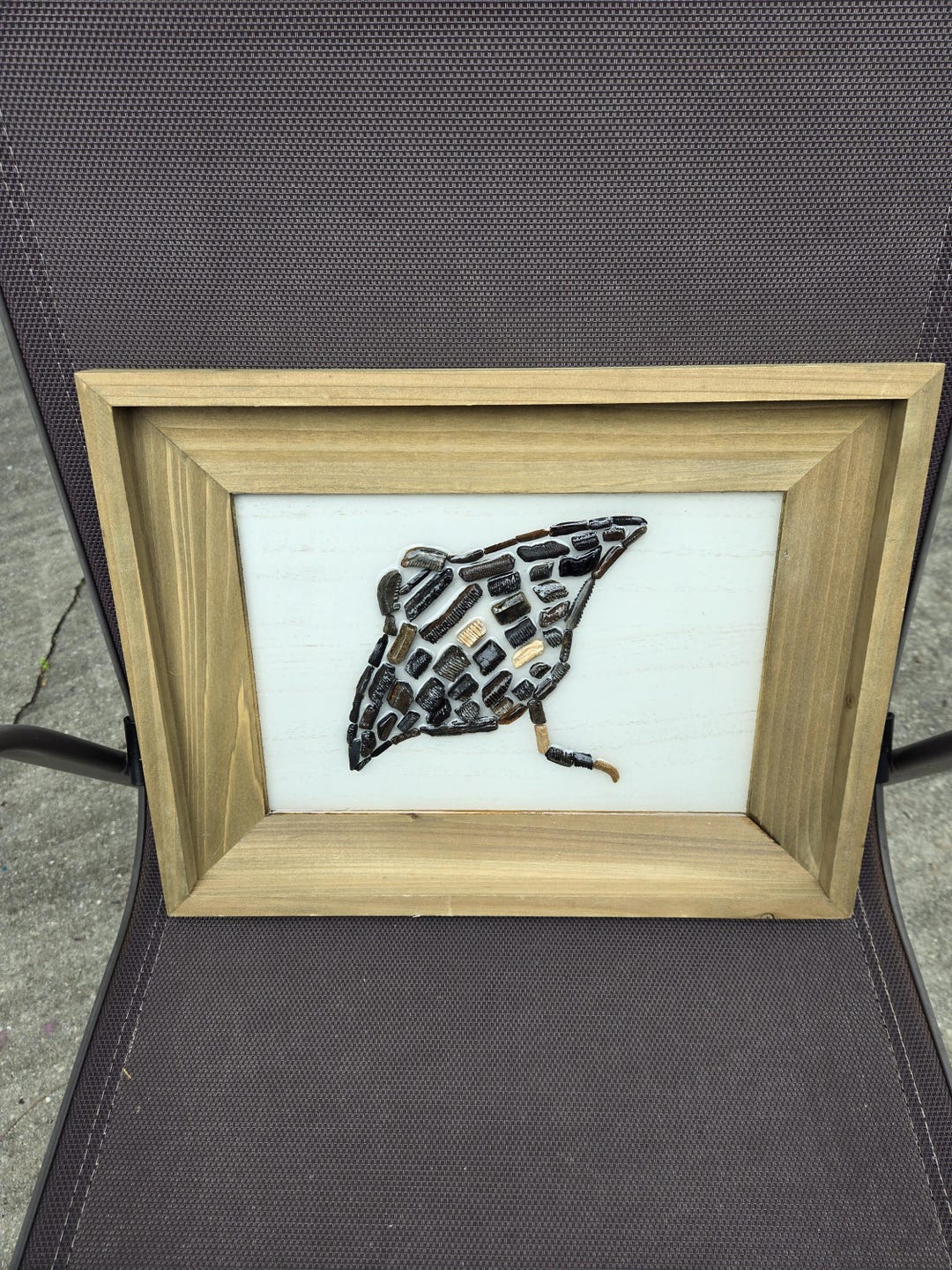 Fossilized Sting Ray Teeth/barbs Stingray - Etsy