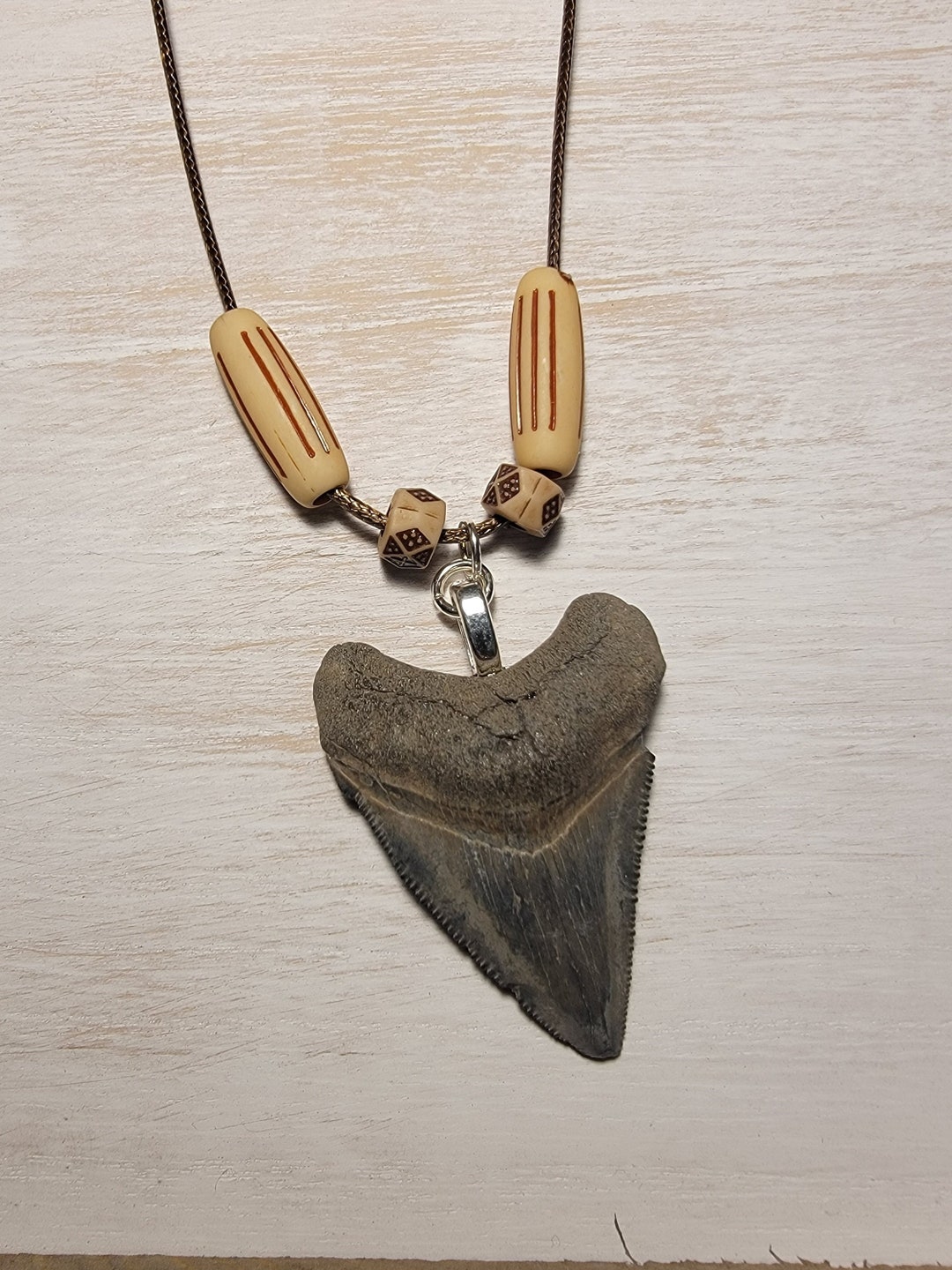 Prehistoric Juvenile Megalodon Shark Tooth Necklace - Etsy